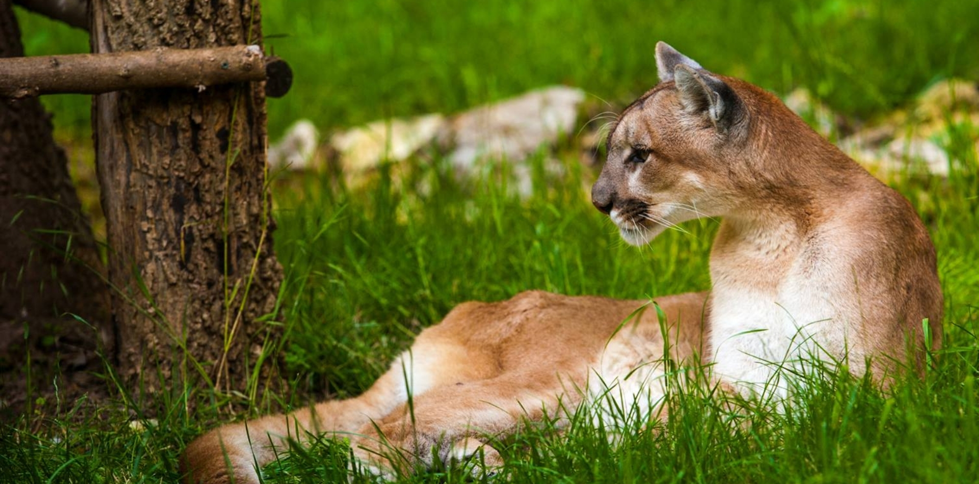 Frequently Asked Questions | Barta Animal Hospital