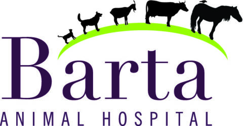 Independence, KS 67301 Veterinarian - Barta Animal Hospital