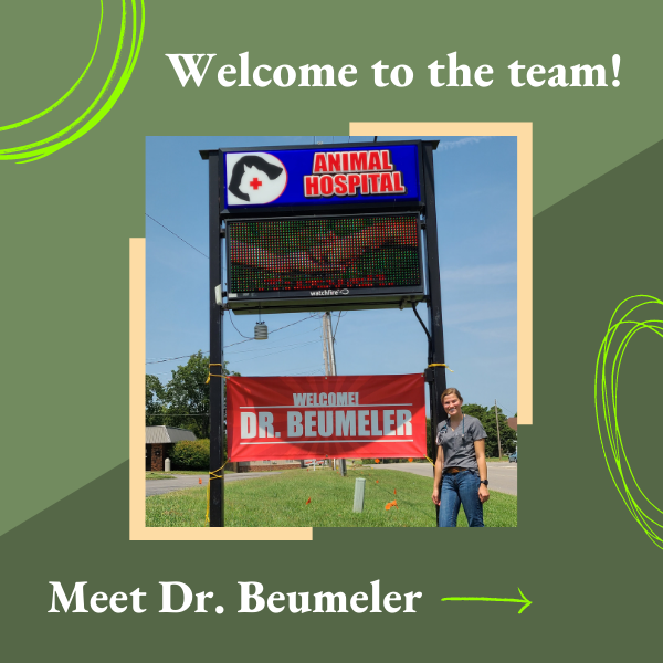 Independence, KS 67301 Veterinarian | Barta Animal Hospital